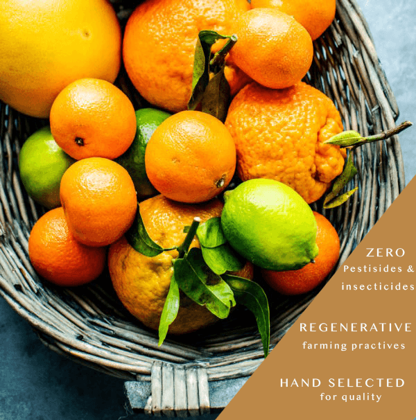 *Organic Fruit Aisle – The Village Pantry